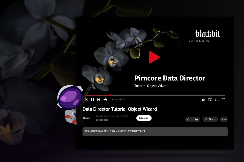 New YouTube Data Director Tutorial: Object Wizards