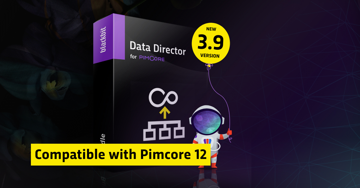 Data Director 3.9: Сумісність з Pimcore 12, кращі переклади, пагінація API та багато іншого